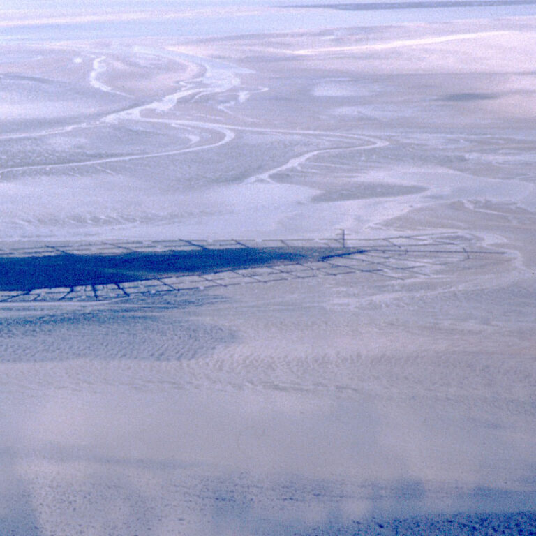 Landgewinnung & Deichbau – Lebensraum Wattenmeer