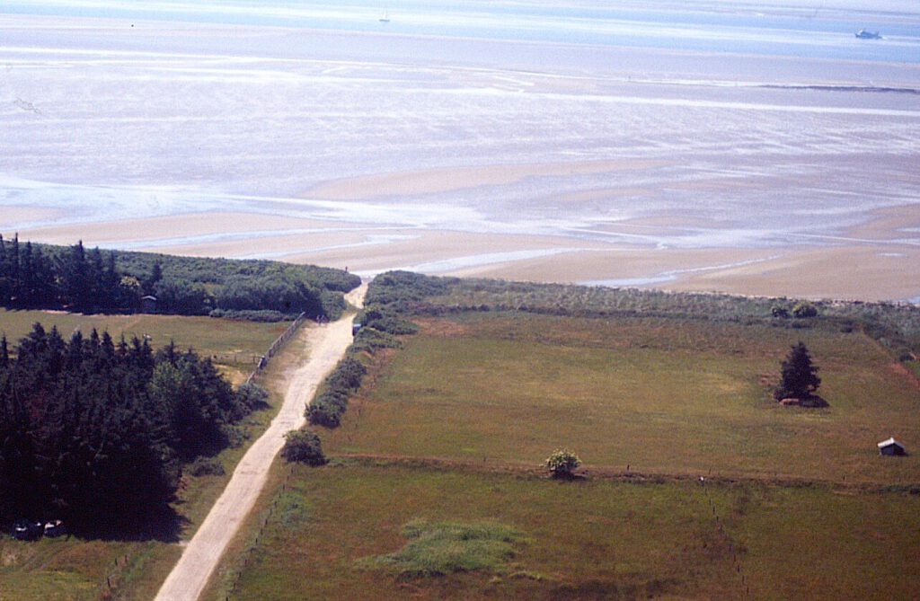 Küstendünen & Strandwall – Lebensraum Wattenmeer
